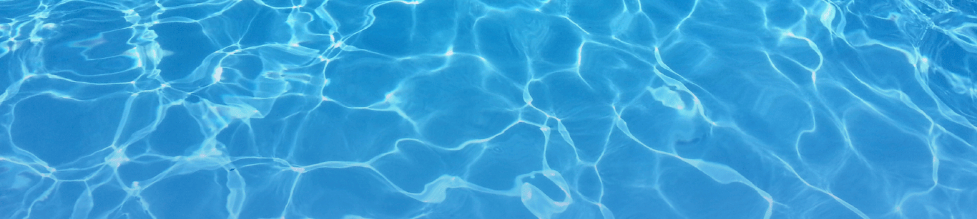 June Swim Camp | YMCA of the Palm Beaches